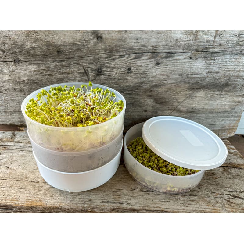 4-Tier Kitchen Sprouter – Pinetree Garden Seeds