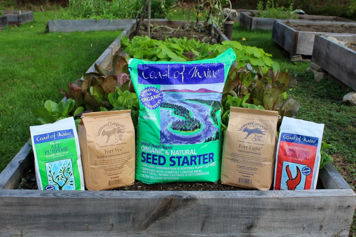 Pinetree Garden Seeds - Superseeds.com