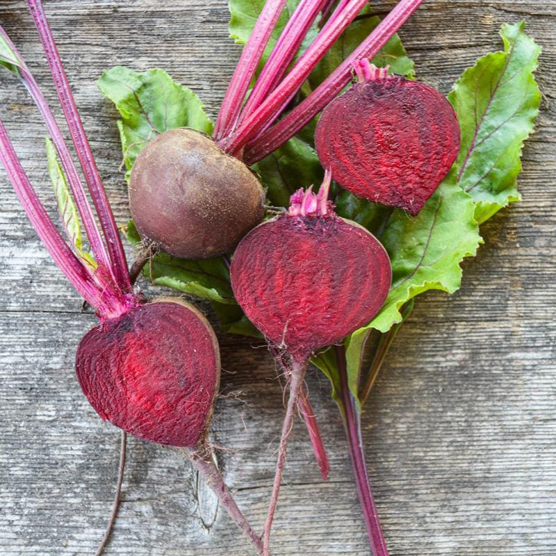 Babybeat Beet (40 Days) – Pinetree Garden Seeds