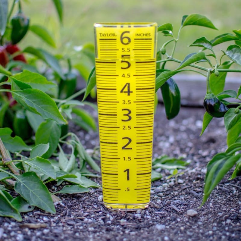 Basic Rain Gauge – Pinetree Garden Seeds
