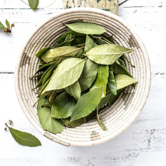 Bay Leaf Whole (Organic) 1/2 oz. – Pinetree Garden Seeds