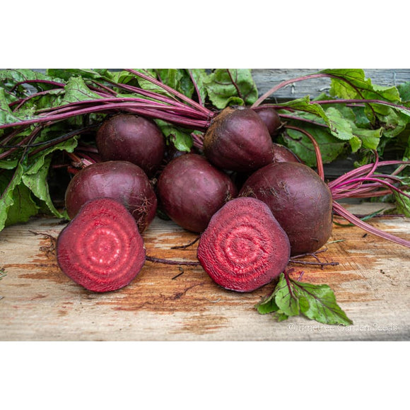 Boro Beet (Organic F1 Hybrid 50 Days) – Pinetree Garden Seeds