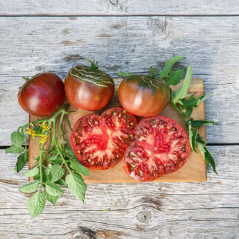 Tomato Seeds - Heirloom & Organic Varieties | Pinetree Garden Seeds – Page