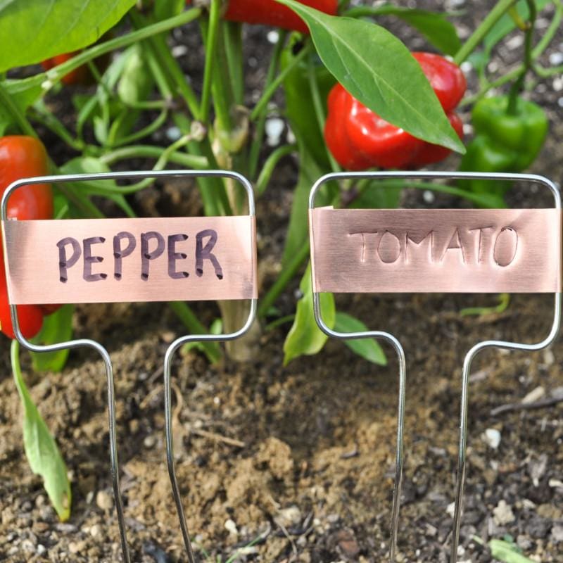 Copper Plant Labels 10 Inch (10 pack) – Pinetree Garden Seeds