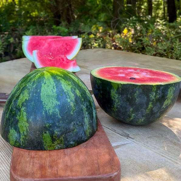 Watermelon – Pinetree Garden Seeds