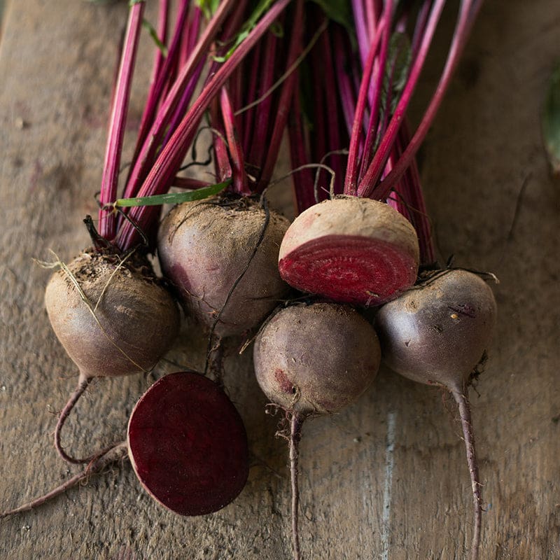 Crosby Egyptian Beet (Heirloom 45 Days) – Pinetree Garden Seeds