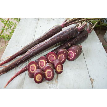 Carrot Seeds | Grow Heirloom and Organic | Pinetree Garden Seeds