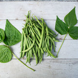 Derby Bush Bean (55 Days) – Pinetree Garden Seeds