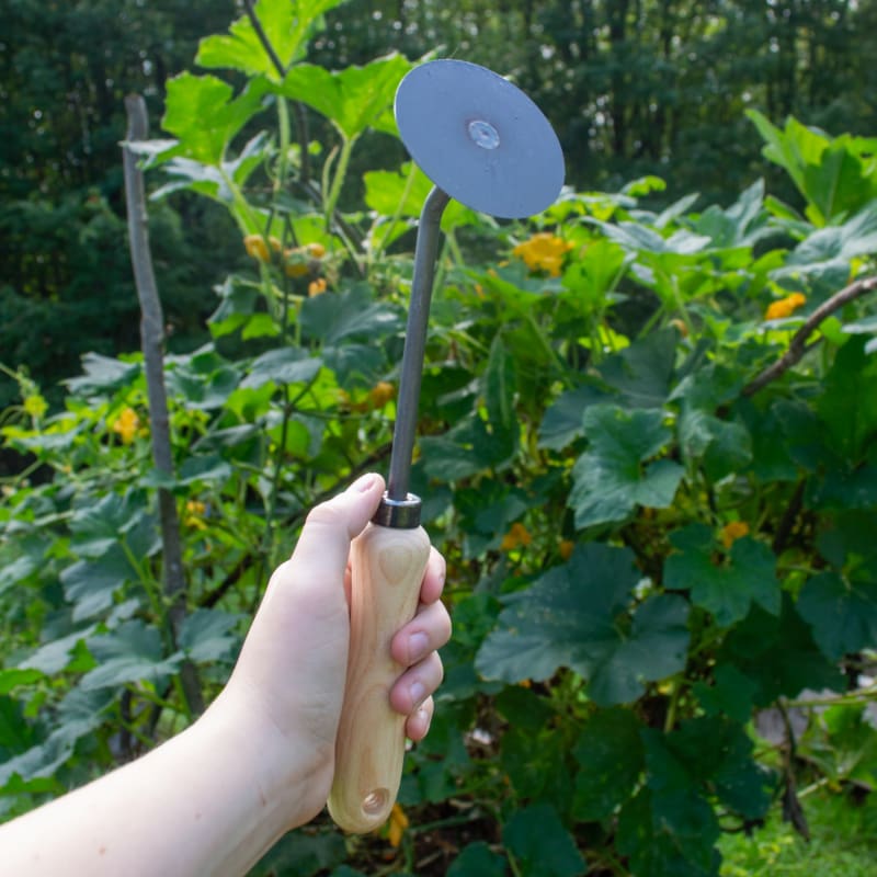 DeWit Disc Weeder – Pinetree Garden Seeds