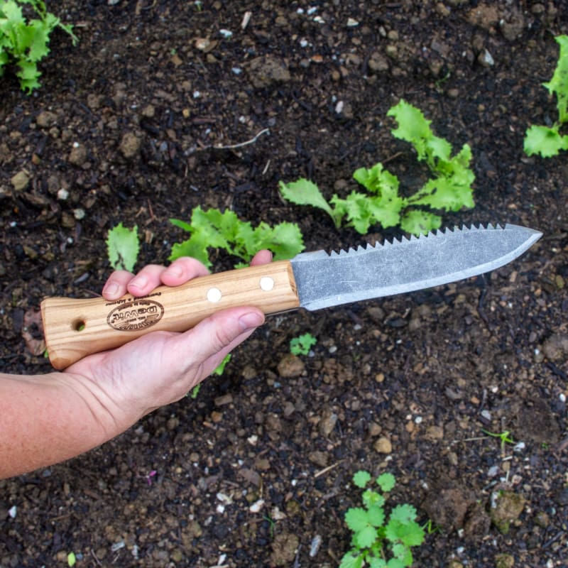 DeWit Serrated Farmer's Dagger – Pinetree Garden Seeds