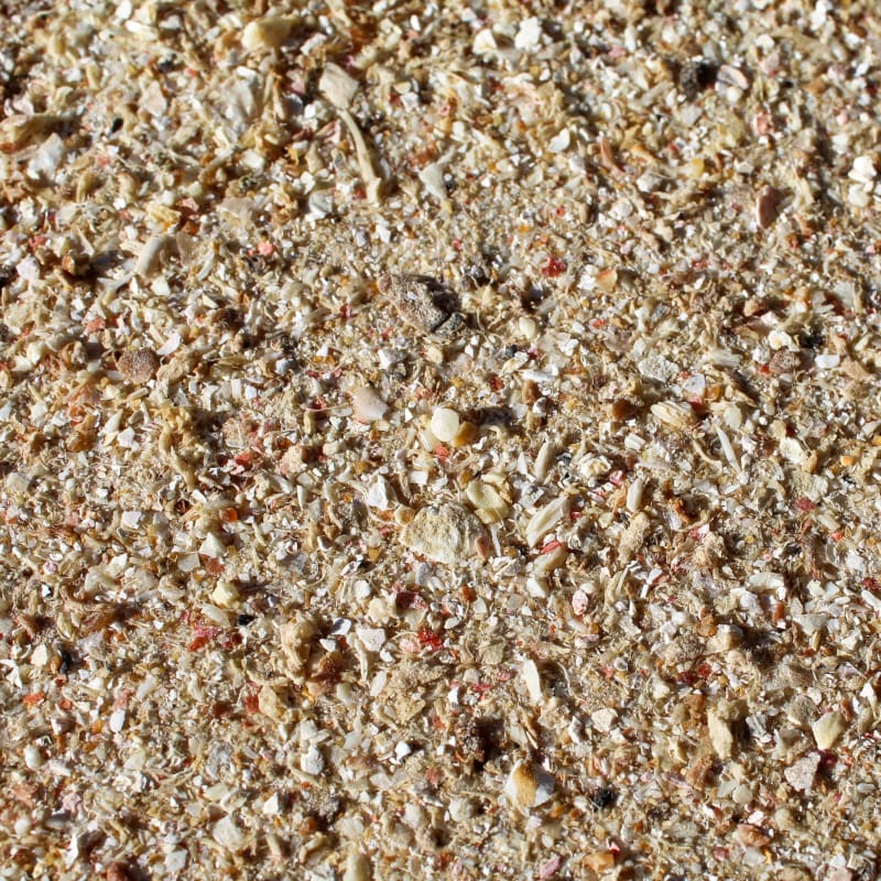 Down to Earth Fish Bone Meal - NPK 4-12-0 (5 LB) – Pinetree Garden Seeds