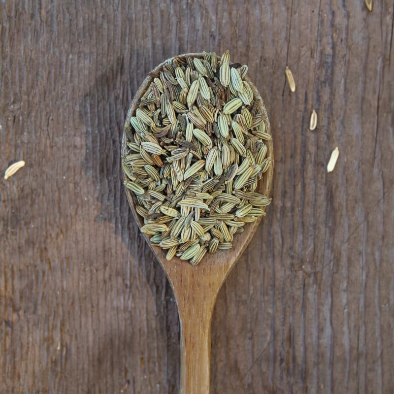 Fennel Seed (Organic) 1 oz. – Pinetree Garden Seeds