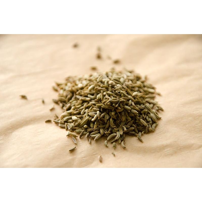 Fennel Seed (Organic) 1 oz. – Pinetree Garden Seeds