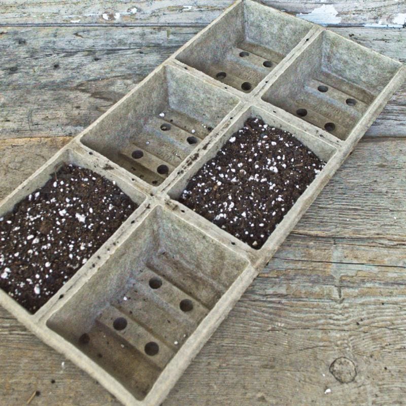 Fiber Pack Strip – Pinetree Garden Seeds