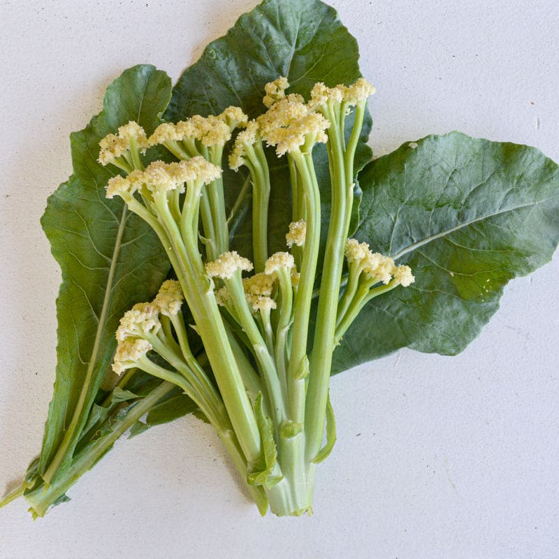 Fioretto Cauliflower (F1) - Sprouting Cauliflower Seed – Pinetree ...