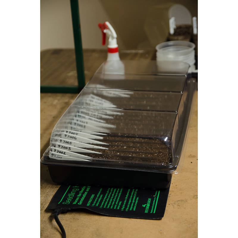 Germination Station with Heat & Dome – Pinetree Garden Seeds