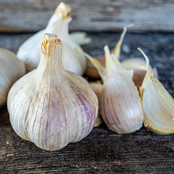 Hardneck Garlic – Pinetree Garden Seeds