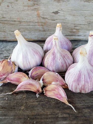 Pinetree Garden Seeds - Superseeds.com