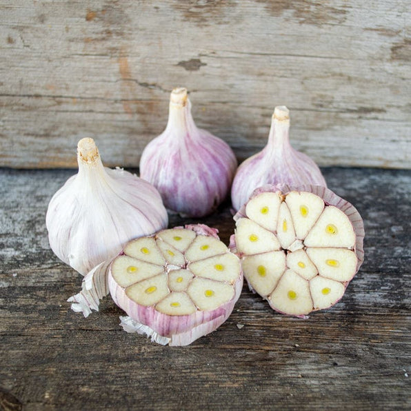 Hardneck Garlic – Pinetree Garden Seeds