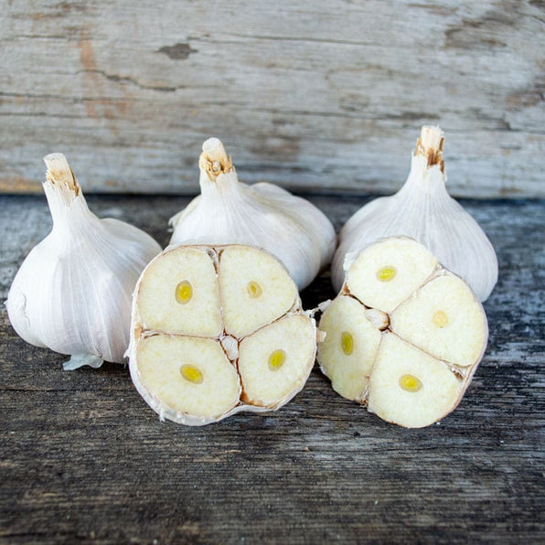 Hardneck Garlic – Pinetree Garden Seeds
