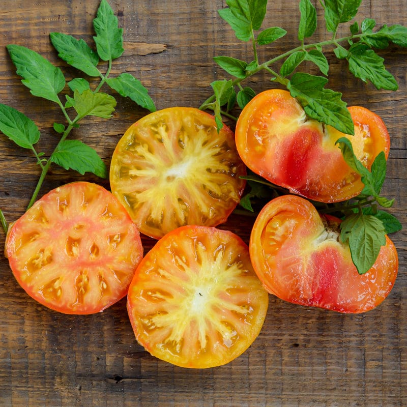 Harvest Moon Tomato (Organic F1 Hybrid 75 Days) – Pinetree Garden Seeds