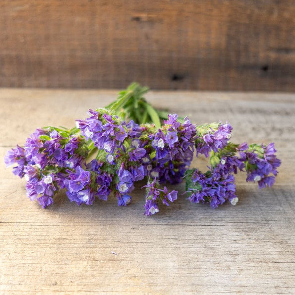 Statice – Pinetree Garden Seeds