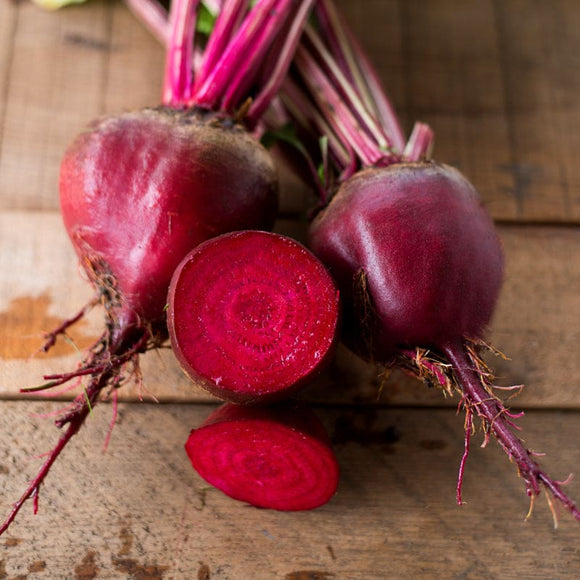 Lutz Winter Keeper Beet (Heirloom, 80 Days) – Pinetree Garden Seeds