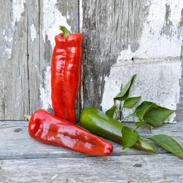 Marconi Red Pepper (80-90 Days) – Pinetree Garden Seeds