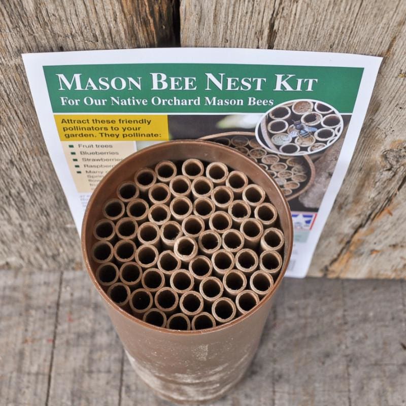 Mason Bee Nest Kit (Standard) – Pinetree Garden Seeds