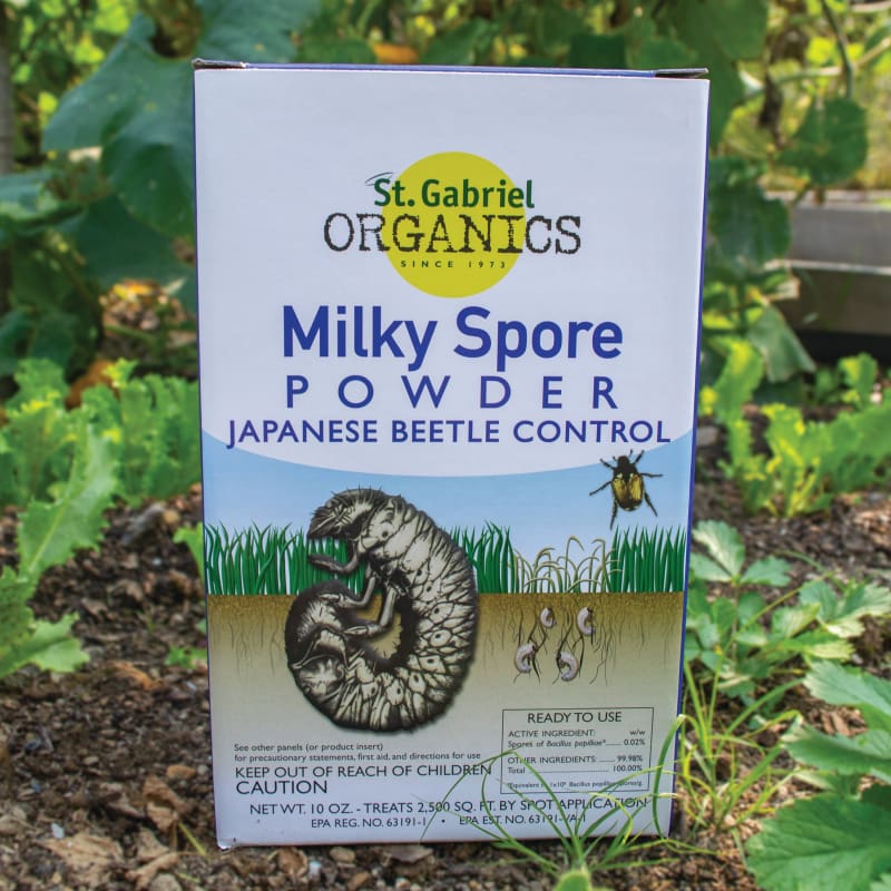 Milky Spore Powder (10 OZ) – Pinetree Garden Seeds