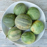 Minnesota Midget Melon (60 Days) – Pinetree Garden Seeds