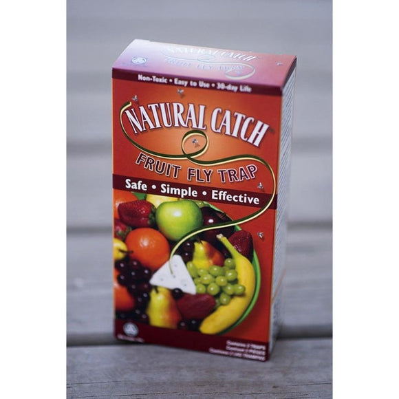Natural Catch Fruit Fly Traps – Pinetree Garden Seeds