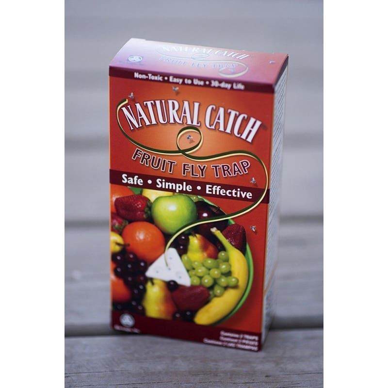 Natural Catch Fruit Fly Traps – Pinetree Garden Seeds