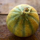 Ogen Melon (85 Days) – Pinetree Garden Seeds