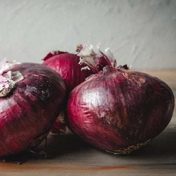 Onion Plants and Sets – Pinetree Garden Seeds
