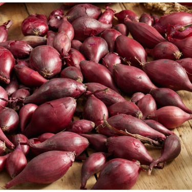 Onion Sets 'Red Baron' – Pinetree Garden Seeds