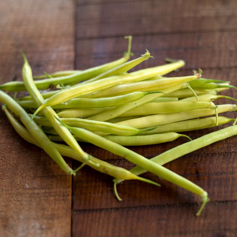 Pencil Pod Bush Bean (Heirloom 52 Days) – Pinetree Garden Seeds