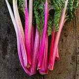 Peppermint Swiss Chard (60 Days) – Pinetree Garden Seeds