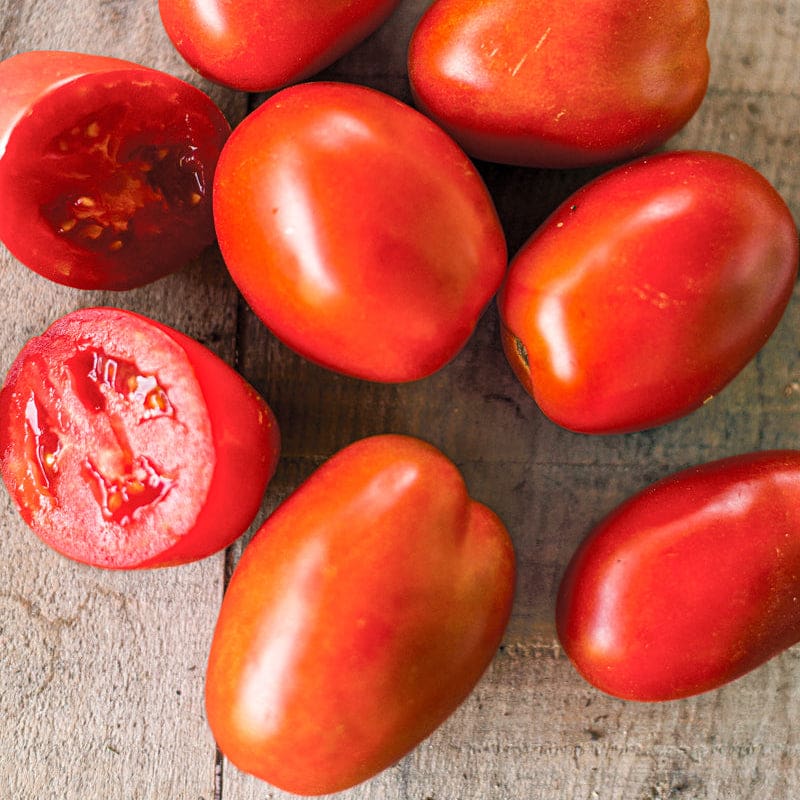 Plum Regal Tomato ( F1 Hybrid, 75 Days) – Pinetree Garden Seeds