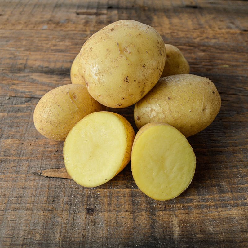 Potato 'German Butterball' – Pinetree Garden Seeds