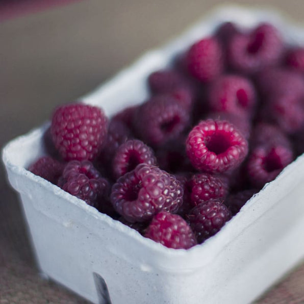 Raspberries – Pinetree Garden Seeds
