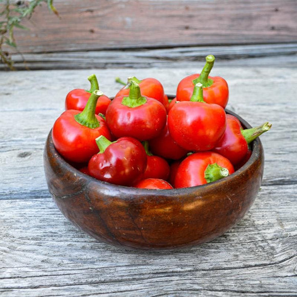 Red Hot Cherry Pepper (77 Days) – Pinetree Garden Seeds
