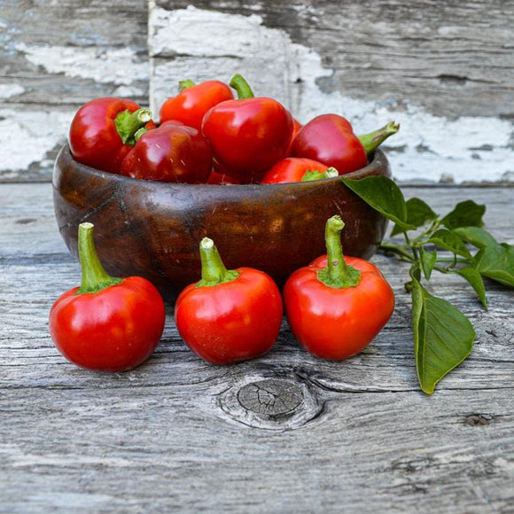 Red Hot Cherry Pepper (77 Days) – Pinetree Garden Seeds