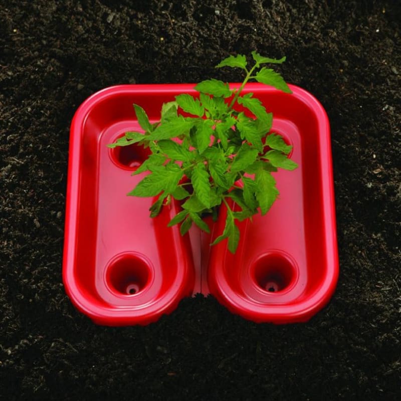 Red Tomato Trays (3) – Pinetree Garden Seeds