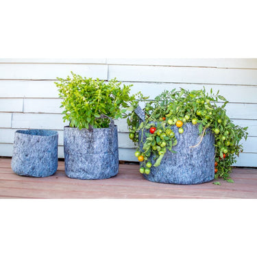 Root Pouch 5 Gallon with Handles – Pinetree Garden Seeds