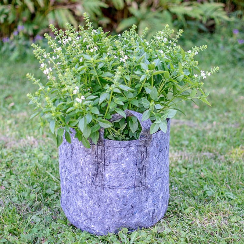 Root Pouch 5 Gallon with Handles – Pinetree Garden Seeds