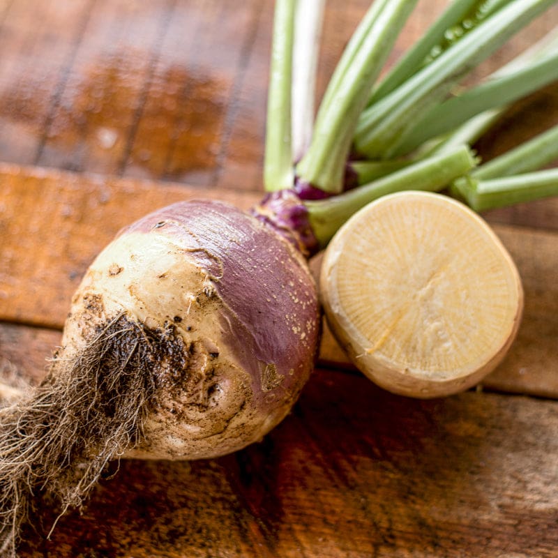Rutabaga Helenor (100 Days) – Pinetree Garden Seeds