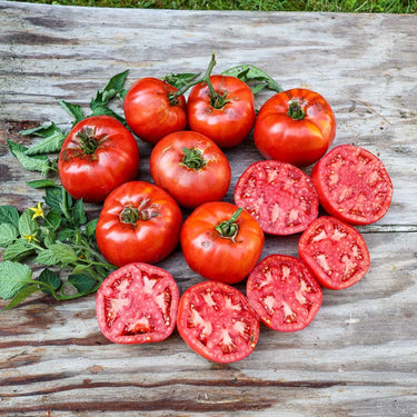 Rutgers Tomato (73 Days) – Pinetree Garden Seeds