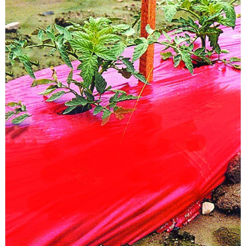 Selective Reflective Mulch (SRM) - Red Plastic – Pinetree Garden Seeds