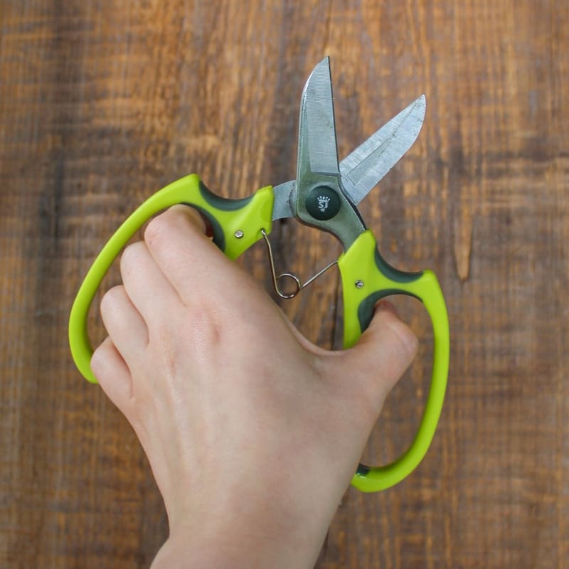 Soft Feel Garden Scissors – Pinetree Garden Seeds